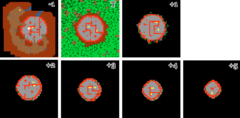 Medusa Tower - Tibia Wiki - A Enciclopédia do Tibia