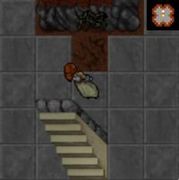 White Flower Temple - Tibia Wiki - A Enciclopédia do Tibia