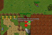 Horse Station World Change - Tibia Wiki - A Enciclopédia do Tibia