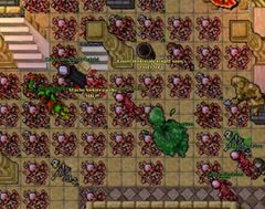 The Abomination World Raid - Tibia Wiki - A Enciclopédia do Tibia
