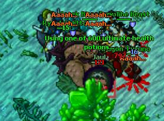 Liquid Black Quest - Tibia Wiki