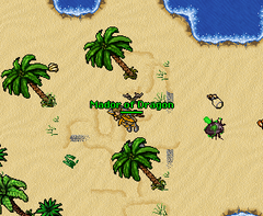 Forbidden Temple - Tibia Wiki - A Enciclopédia do Tibia