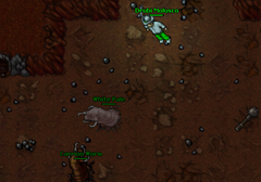 Invasões em Liberty Bay - Tibia Wiki - A Enciclopédia do Tibia