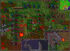 Invasões em Farmine - Tibia Wiki - A Enciclopédia do Tibia