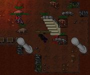 Apprentice Sheng - Tibia Wiki - A Enciclopédia do Tibia