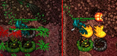 Quest:Hive - Tibia Wiki - A Enciclopédia do Tibia