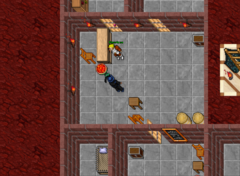The Inquisition Quest - Tibia Wiki