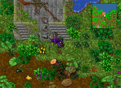 The Secret Library Quest - Tibia Wiki