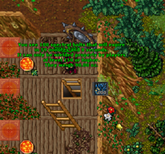 Spectral Bolt - Tibia Wiki - A Enciclopédia do Tibia