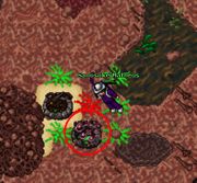 War Against The Hive Quest - Tibia Wiki - A Enciclopédia do Tibia