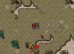 Krailos Quest - Tibia Wiki