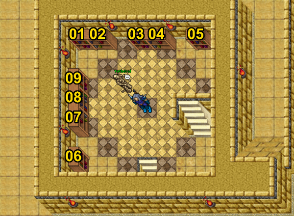 Bibliotecas de Ankrahmun City - Tibia Wiki - A Enciclopédia do Tibia