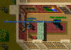 Secret Service Quest - Tibia Wiki