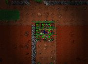 Orc Berserker - Tibia Wiki - A Enciclopédia do Tibia