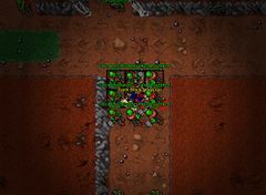 Orc Berserker - Tibia Wiki - A Enciclopédia do Tibia
