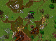 Poacher Lair - Tibia Wiki - A Enciclopédia do Tibia