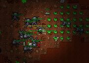 Invasões em Ankrahmun - Tibia Wiki - A Enciclopédia do Tibia