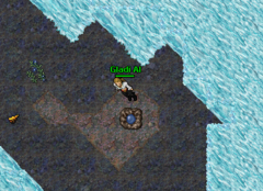 Water Elemental Caverns (Sul) - Tibia Wiki - A Enciclopédia do Tibia