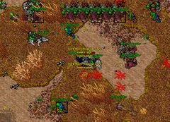 Invasões em Farmine - Tibia Wiki - A Enciclopédia do Tibia